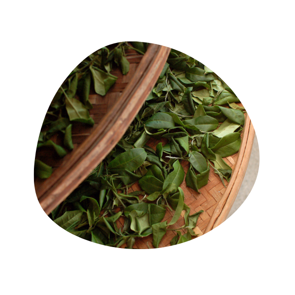 African Green Teas | Refreshing & Natural – Home of Thamani